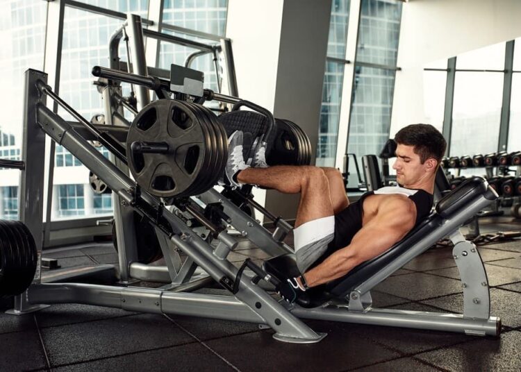 Effective Bulking & Cutting Cycles | A Complete Guide